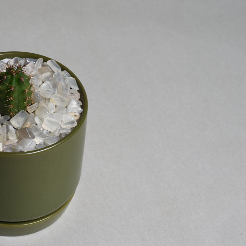 Natural Moonstone Hecatolite Cactus Styling Crystals